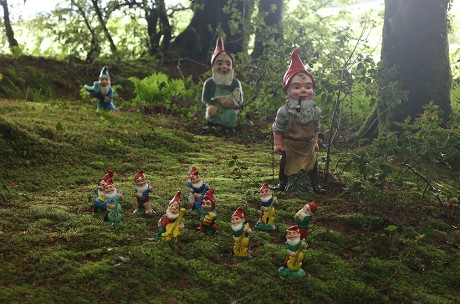 'The Original Gnome Reserve', West Putford, UK - 14 Jun 2019 Stock ...