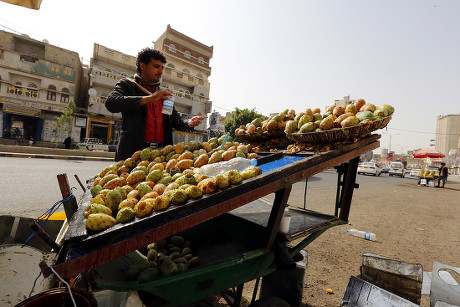Yemeni Vendor Displays Prickly Pear Fruits Editorial Stock Photo ...