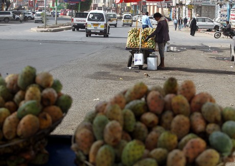 Yemeni Vendor Displays Prickly Pear Fruits Editorial Stock Photo ...