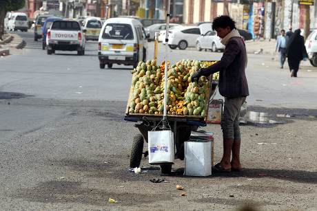 Yemeni Vendor Displays Prickly Pear Fruits Editorial Stock Photo ...