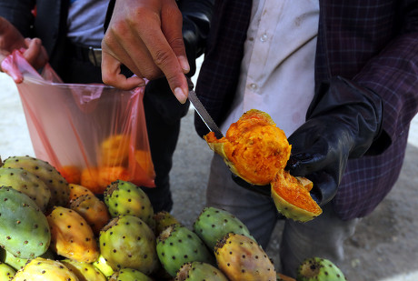 Yemeni Vendor Sells Prickly Pear Fruits Editorial Stock Photo - Stock ...