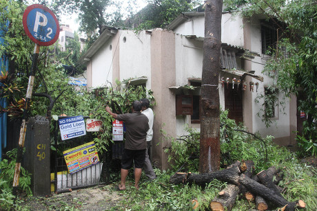 House Damaged After Tree Collapse After Editorial Stock Photo - Stock ...