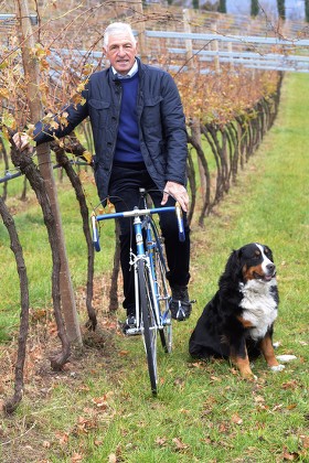 Italian Former Professional Road Bicycle Racer Editorial Stock Photo ...