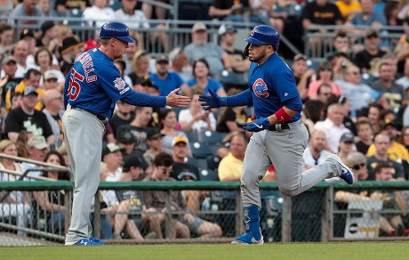 Chicago Cubs Catcher Victor Caratini 7 Editorial Stock Photo - Stock ...