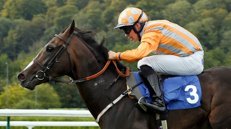 Grace Mcentee Nottingham Editorial Stock Photo - Stock Image | Shutterstock