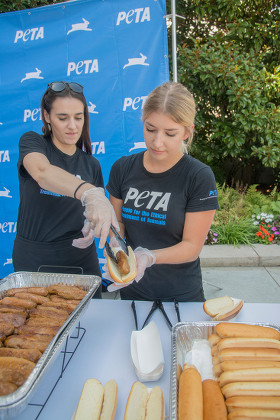 peta veggie dog lunch washington Stock Photos (Exclusive) | Shutterstock