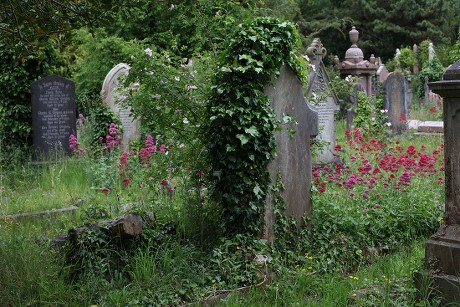 Arnos Vale Woodland Cemetery Editorial Stock Photo - Stock Image ...