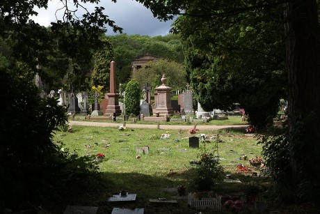 Arnos Vale Woodland Cemetery Editorial Stock Photo - Stock Image ...