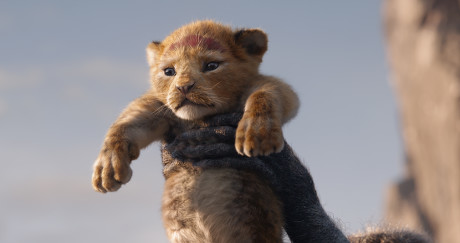 Young Simba Jd Mccrary Editorial Stock Photo - Stock Image | Shutterstock