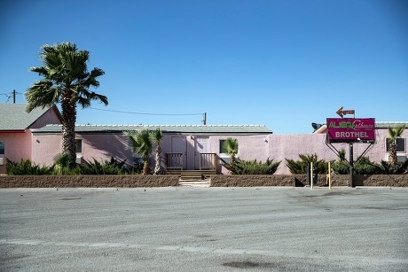 Sign Reads Alien Cathouse Brothel Area Editorial Stock Photo - Stock ...