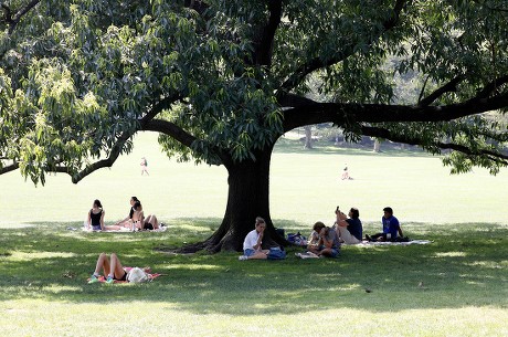 People Sit Shade Under Tree Sheep Editorial Stock Photo - Stock Image ...