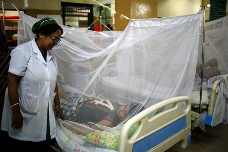 Nurse Treats Patient Covered Mosquito Nets Editorial Stock Photo ...