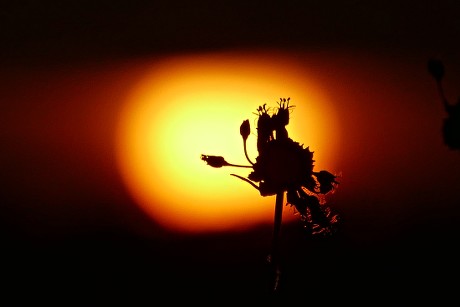 Sun Sets On Another Hot Day Editorial Stock Photo - Stock Image ...