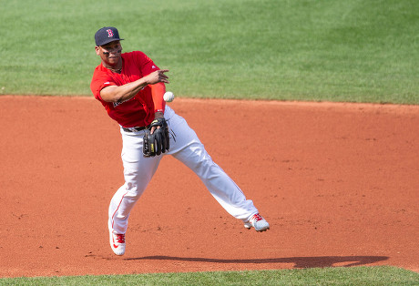 Boston Red Sox Third Baseman Rafael Editorial Stock Photo - Stock Image ...