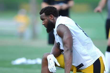 Th Steelers 68 Garrett Brumfield During Editorial Stock Photo - Stock ...