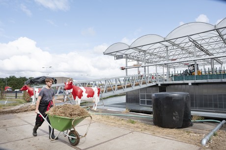 imágenes de Floating Farm, Rotterdam, The Netherlands - 13 Jul 2019 ...