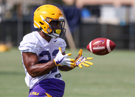 Lsu Defensive Back Maurice Hampton Jr Editorial Stock Photo - Stock ...