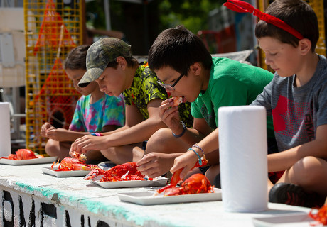 Children Compete Childrens Lobster Eating Contest Editorial Stock Photo ...