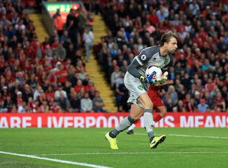 Norwich City Goalkeeper Tim Krul Editorial Stock Photo - Stock Image ...