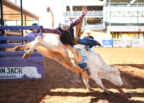 Jordan Frost Thrown Off His Calf Editorial Stock Photo - Stock Image ...