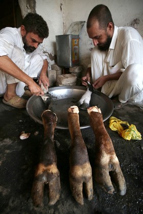 Pakistani Men Preparing Sacrificial Animals Legs Editorial Stock Photo ...