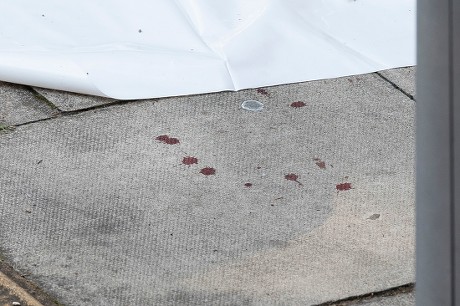 Spots Blood Stain Pavement Crime Scene Editorial Stock Photo - Stock ...