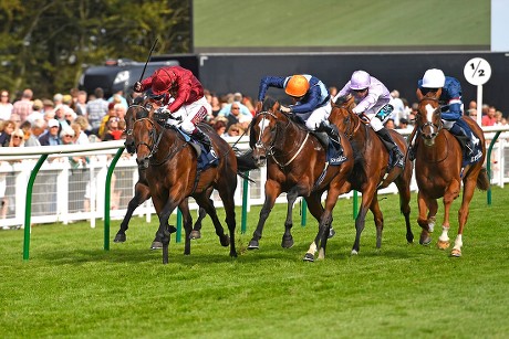 Jockey Megan Nicholls During Horse Racing Editorial Stock Photo - Stock Image | Shutterstock