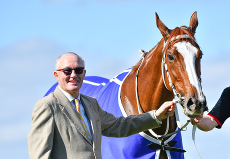 Trainer John Meagher Poses Pippie After Editorial Stock Photo - Stock ...