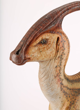 Parasaurolophus Face