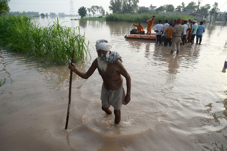 Elderly Indian Man Walks Flood Water Editorial Stock Photo - Stock ...
