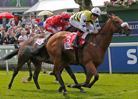 Dakota Gold Connor Beasley Win Sky Editorial Stock Photo - Stock Image ...