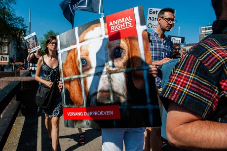 __COUNT__ Animal Rights March, Amsterdam, Netherlands - 24 Aug 2019 ...