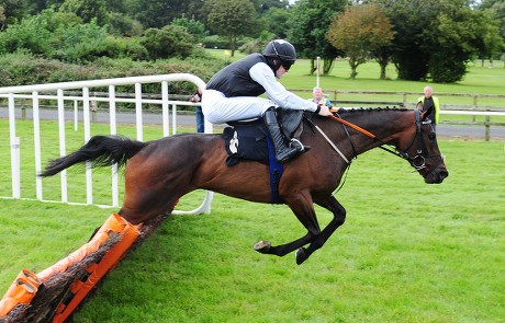 Bellewstown Flooring Porter Jonathan Moore Jump Editorial Stock Photo ...