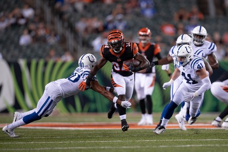 Cincinnati Bengals Running Back Quinton Flowers Editorial Stock Photo ...