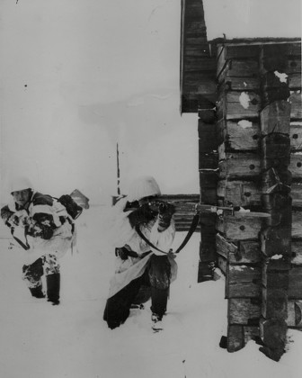 Wwii Germany Army Russia Picture Shows Editorial Stock Photo - Stock ...