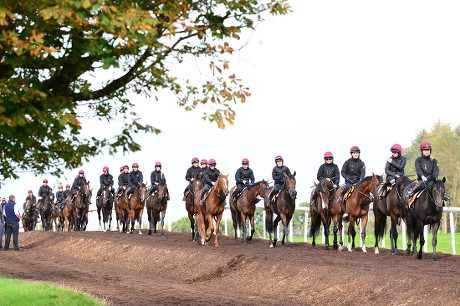 Ballydoyle Stables Trainer Aidan Obrien String Editorial Stock Photo ...