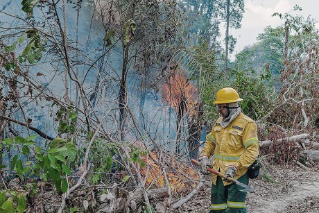 Fireman Works Extinguish Fire Jungle Area Editorial Stock Photo - Stock ...