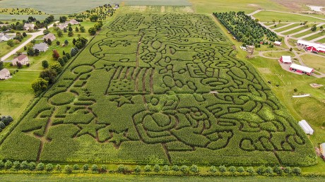 __COUNT__ Corn maze in Spring Grove, USA - 04 Sep 2019 Stock Pictures ...