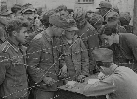 Wwii Europe Allied Invasion Italy Prisoners Editorial Stock Photo ...