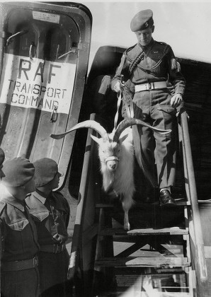 Wwii Peace Germany Allied Occupation Big Editorial Stock Photo - Stock ...