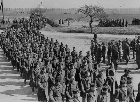 5 Flag of 9th infantry division Stock Pictures, Editorial Images and ...
