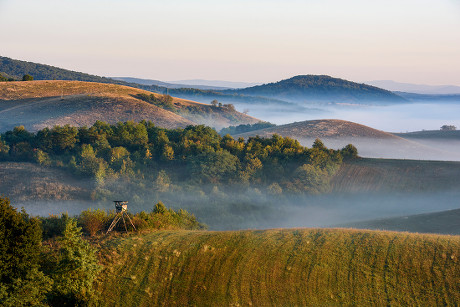 Nature in southern Slovakia, Stara Basta, Slovakia (Slovak Republic ...