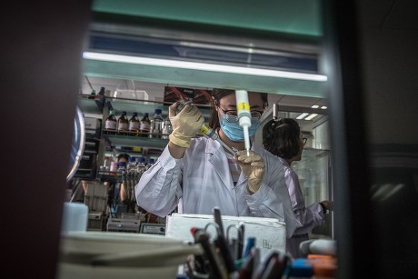 Researcher Works Laboratory Chinese Academy Sciences Editorial Stock ...