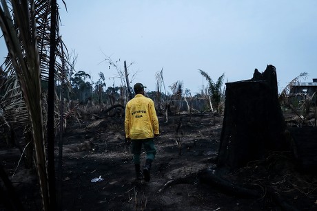 Fires in the Amazon, Apui, Brazil - 06 Sep 2019 Stock Pictures ...