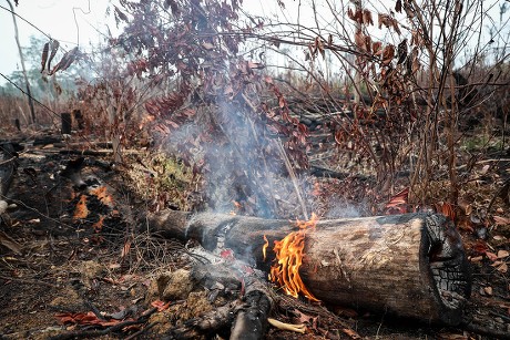 Fires in the Amazon, Apui, Brazil - 06 Sep 2019 Stock Pictures ...