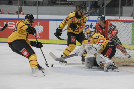 Mitch Callahan Augsburger Panther 15 Scheitert Editorial Stock Photo ...