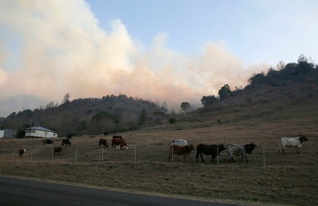 Fire Emergency Crew Prepare Battle Bushfire Editorial Stock Photo ...