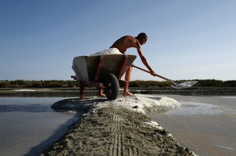 Salt Worker Cedric Leray Shovels Salt Editorial Stock Photo - Stock ...