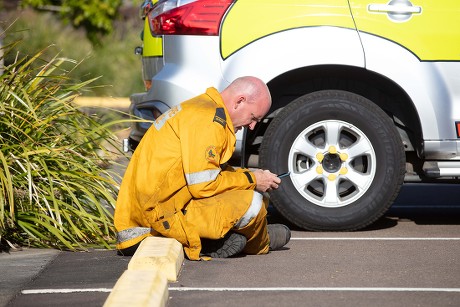 Member Fresh Team Firefighters Brisbane Surrounding Editorial Stock ...