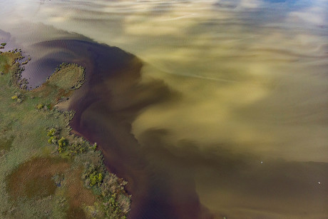 Freshwater Algae Proliferate Southern Tip Lake Editorial Stock Photo ...